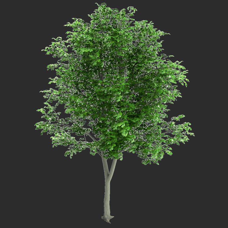 Galería 3d SketchUp - arqdecoskp.com